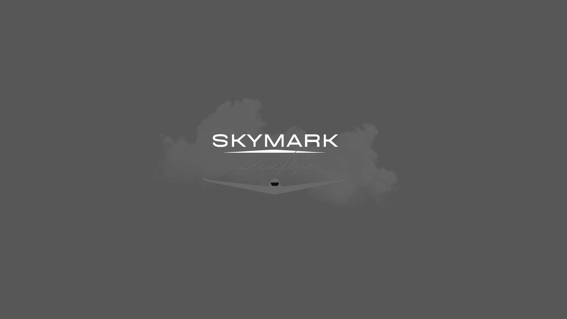 Where Experience Meets Excellence | SkyMark Executive